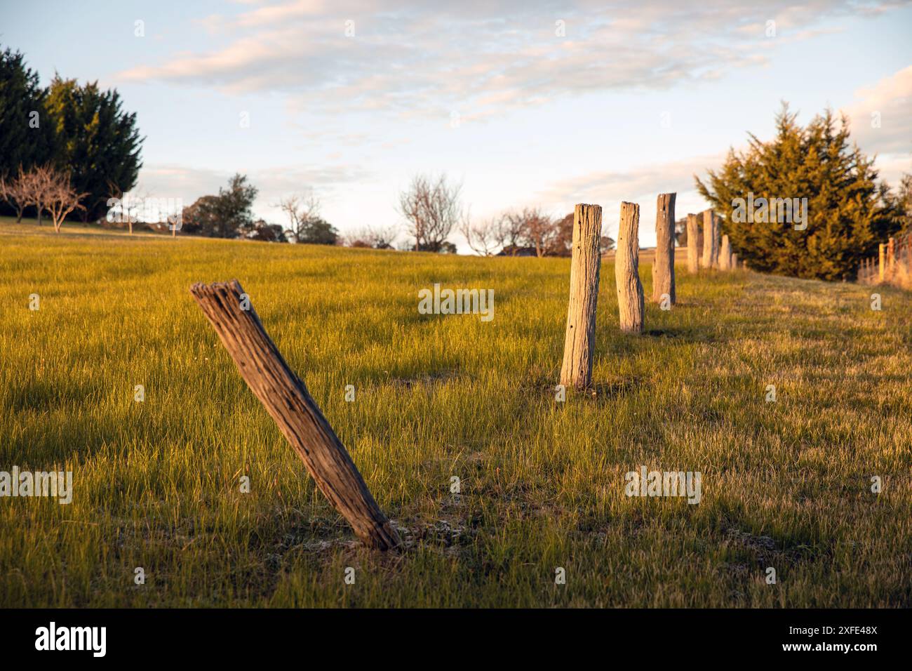 Winter in Orange, NSW Australia Stock Photo - Alamy