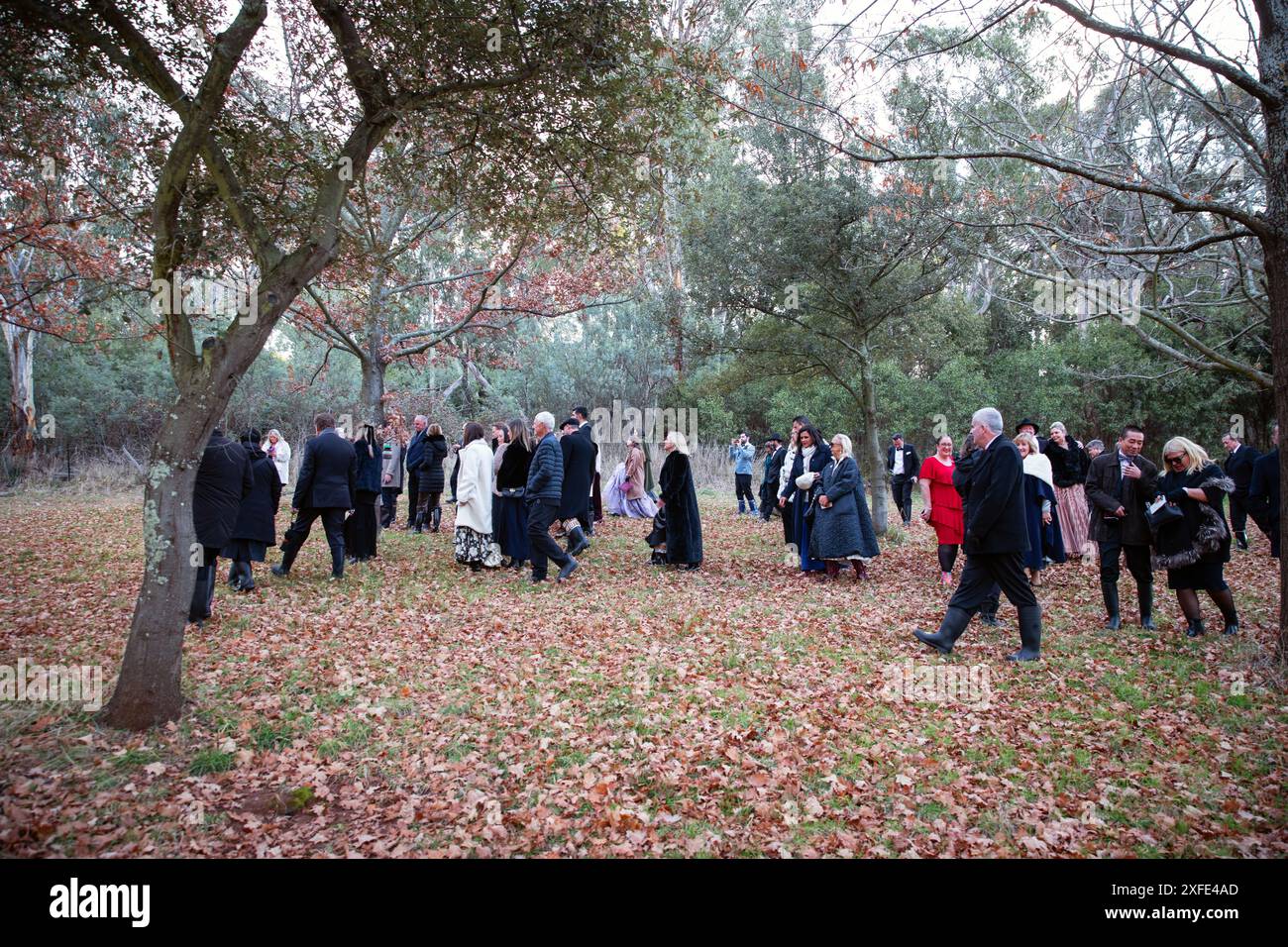 Winter in Orange, NSW Australia Stock Photo - Alamy