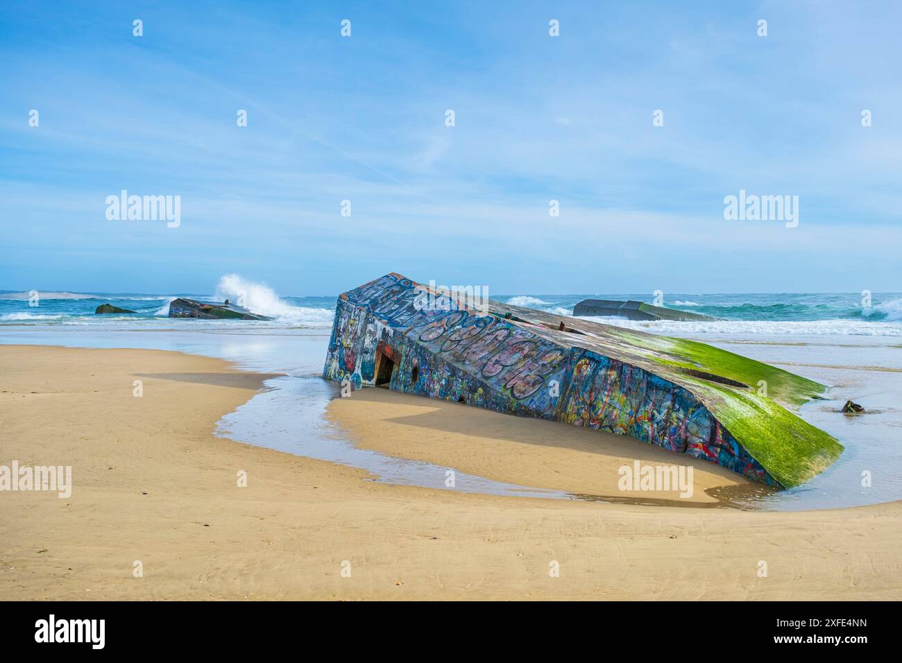 France, Gironde, Lege-Cap-Ferret, Le Cap Ferret, the protected natural ...