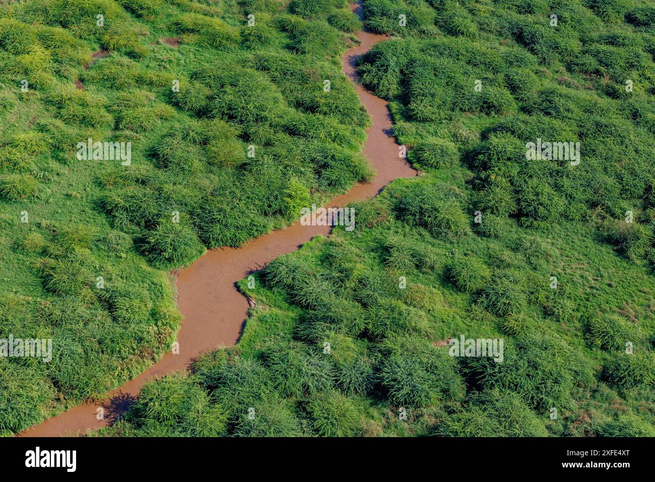 Kenya, Portion of the rift valley between Lake Magadi and Lake Natron ...