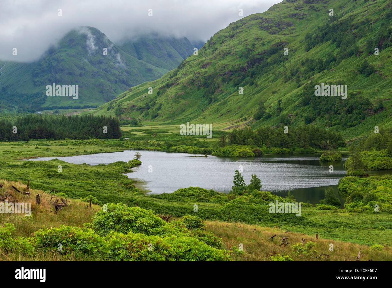 United Kingdom, Scotland, Highlands, Argyll and Bute, Glen Etive Valley ...