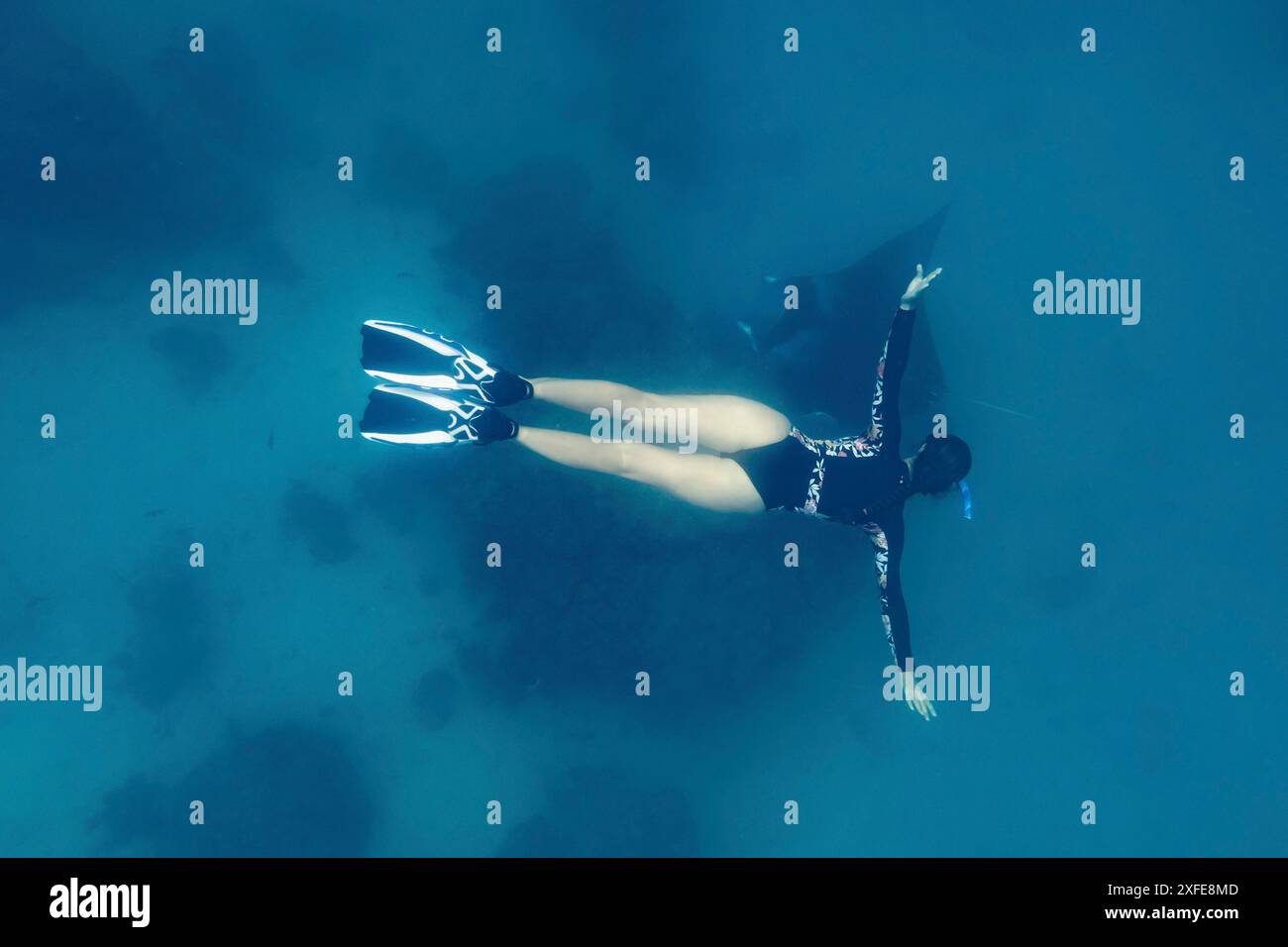 French Polynesia, Society Islands, Monitoring of Manta Ray surveillance ...