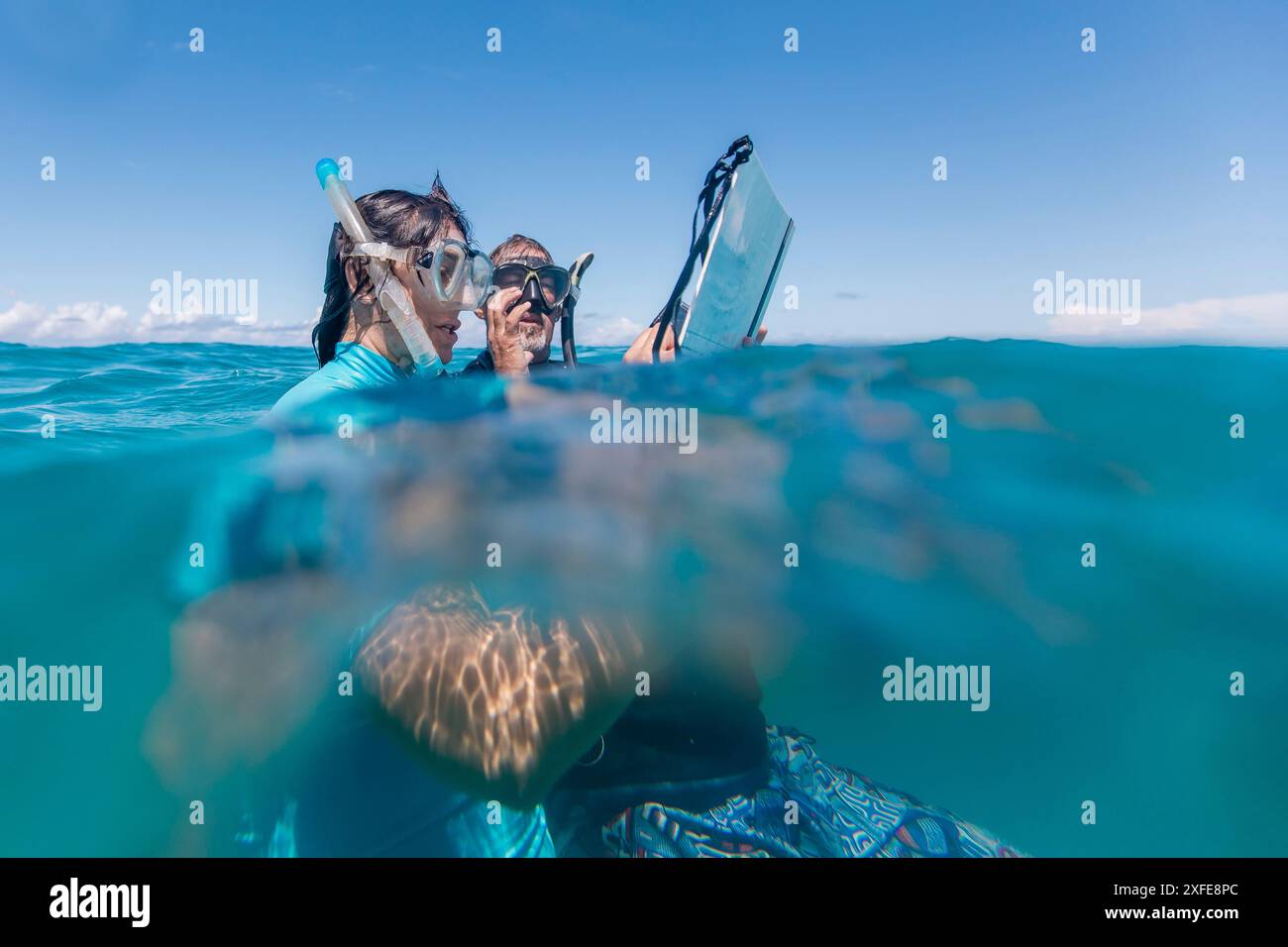 French Polynesia, Society Islands, Monitoring of Manta Rays by the ...