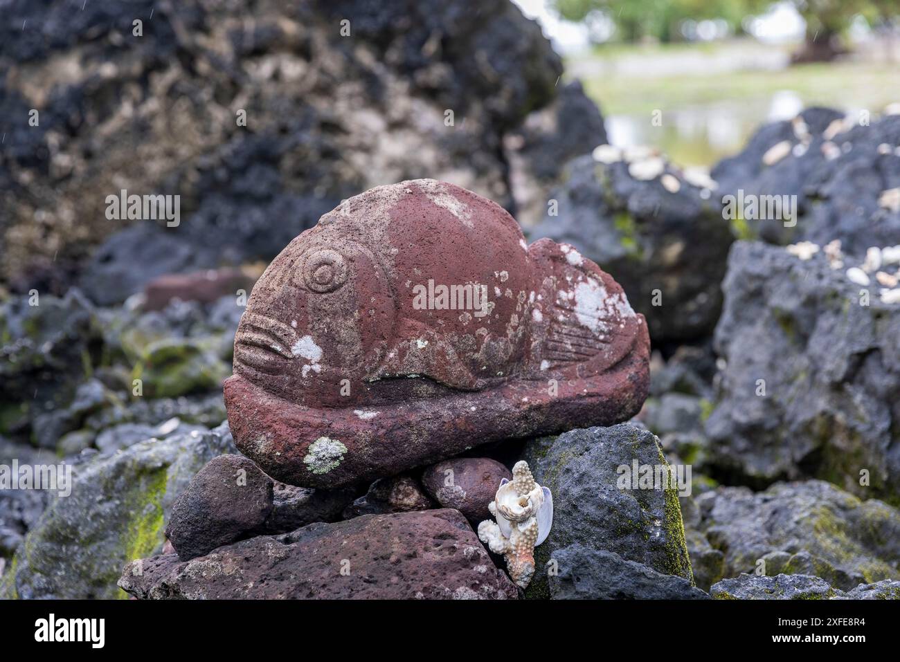 French Polynesia, Society Islands, Raiatea, Marae de Taputapuatea ...
