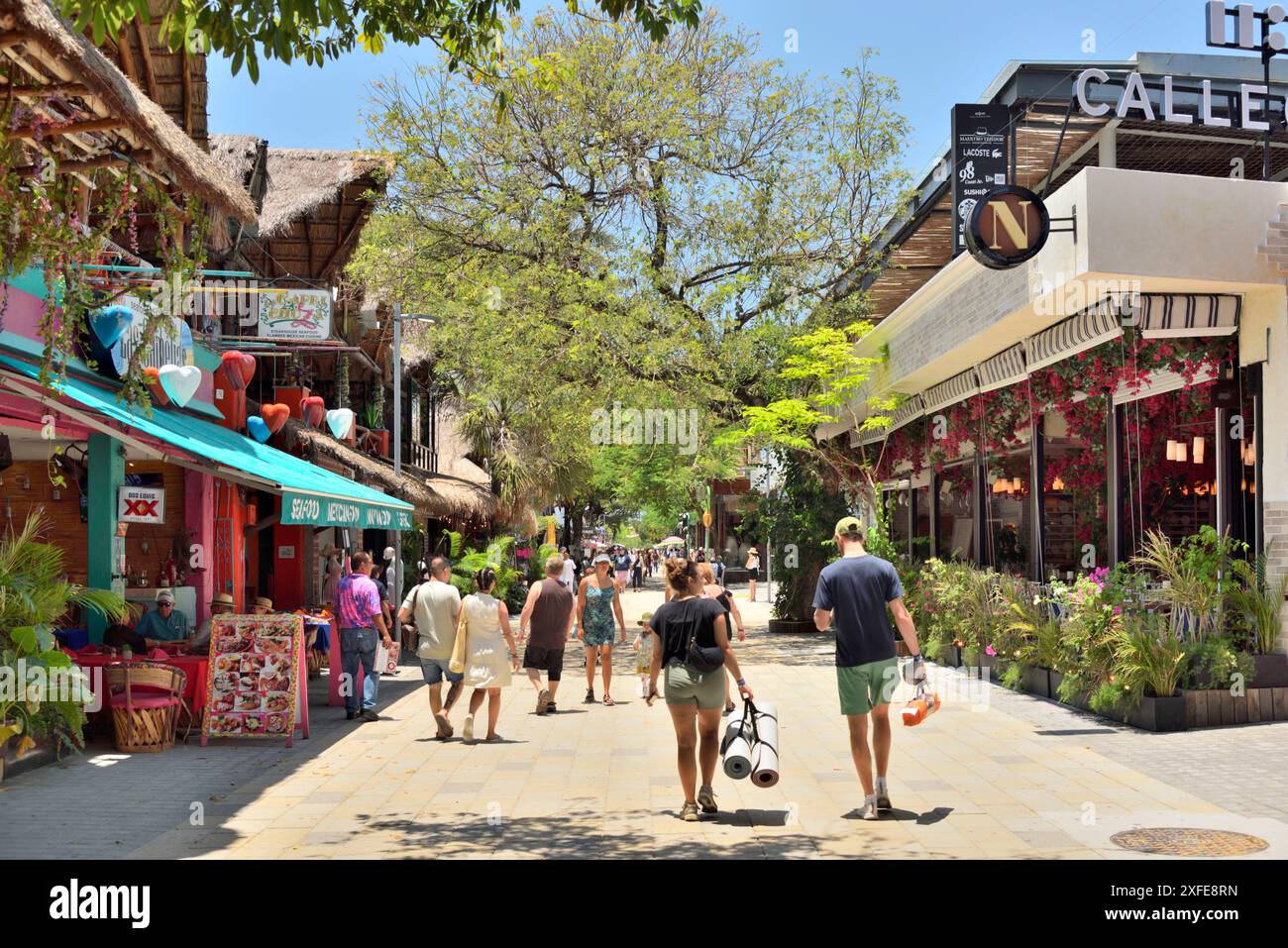 Mexico, state of Quintana Roo, Riviera Maya, Playa del Carmen, Quinta ...