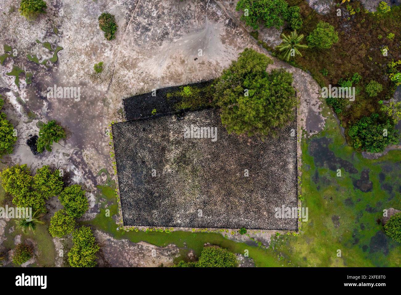 French Polynesia, Society Islands, Raiatea, Marae de Taputapuatea ...