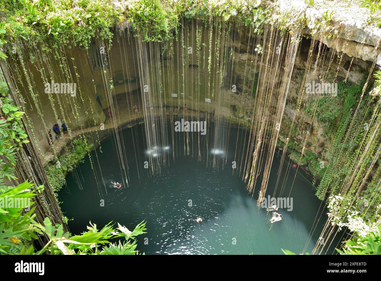 Mexico, Yucatan State, Ik Kil Eco-Archaeological Park, Ik-Kil Cenote or ...