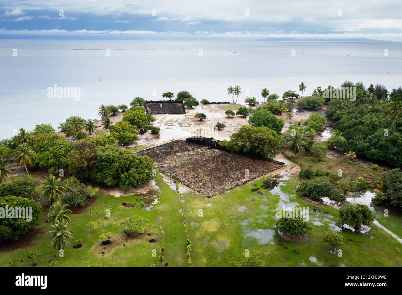 French Polynesia, Society Islands, Raiatea, Marae de Taputapuatea ...