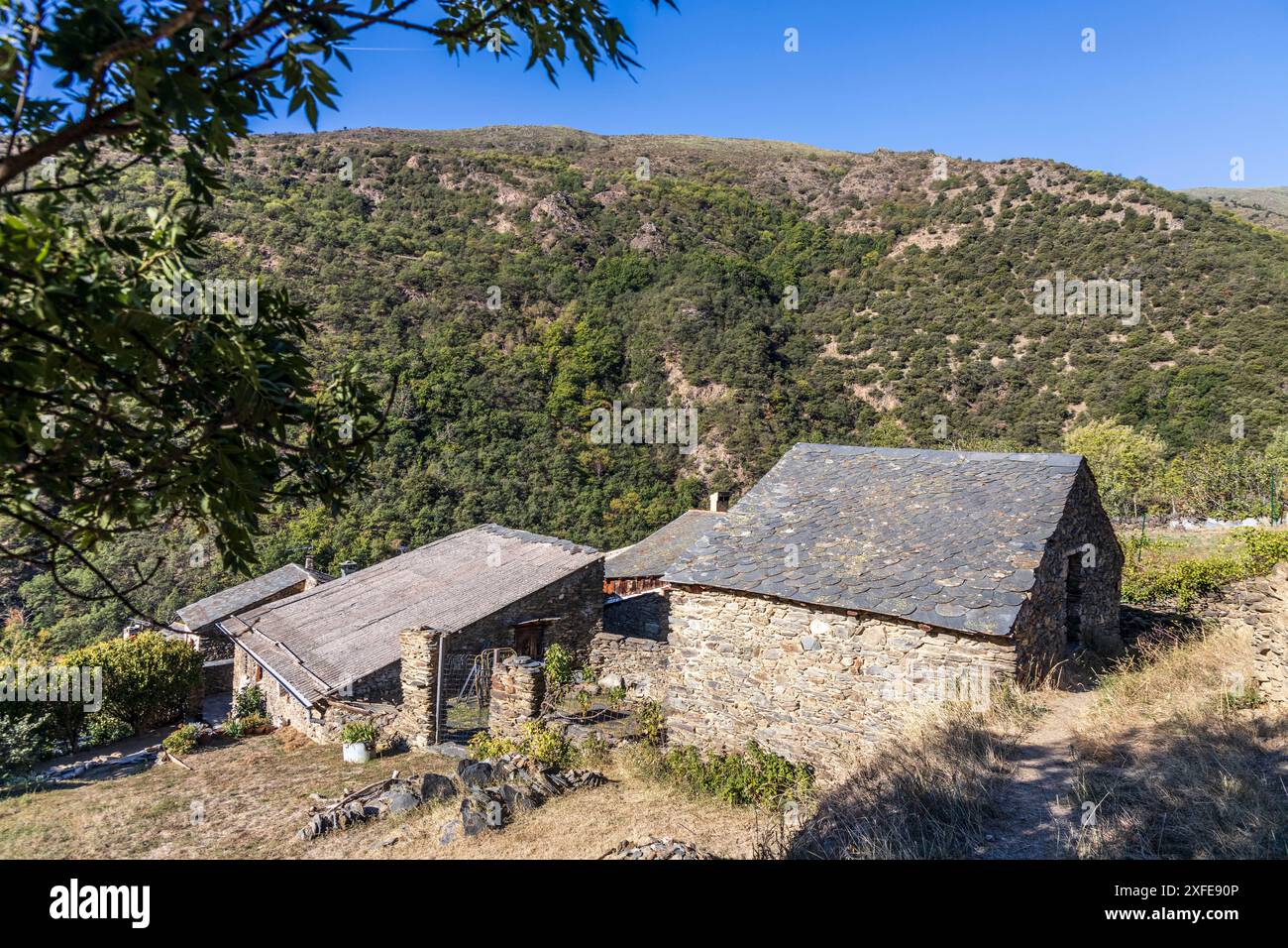 Evol Hi Res Stock Photography And Images Alamy