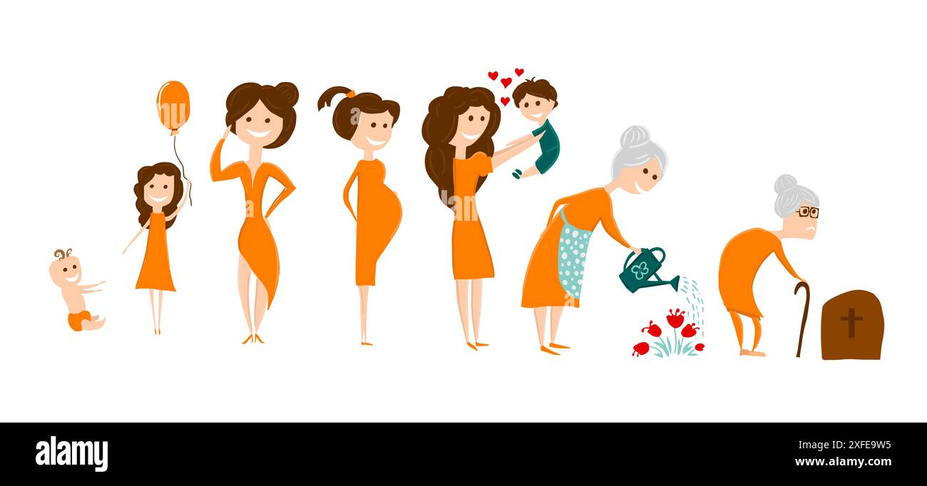 Different stages of a woman's life. Vector illustration of stages of ...