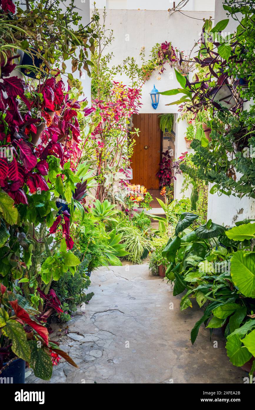 Typical Andalusian patio, Conil de la Frontera, Andalusia, Spain Stock ...