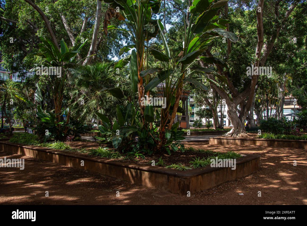 The "Plaza del Príncipe de Asturias" in the capital Santa Cruz de ...
