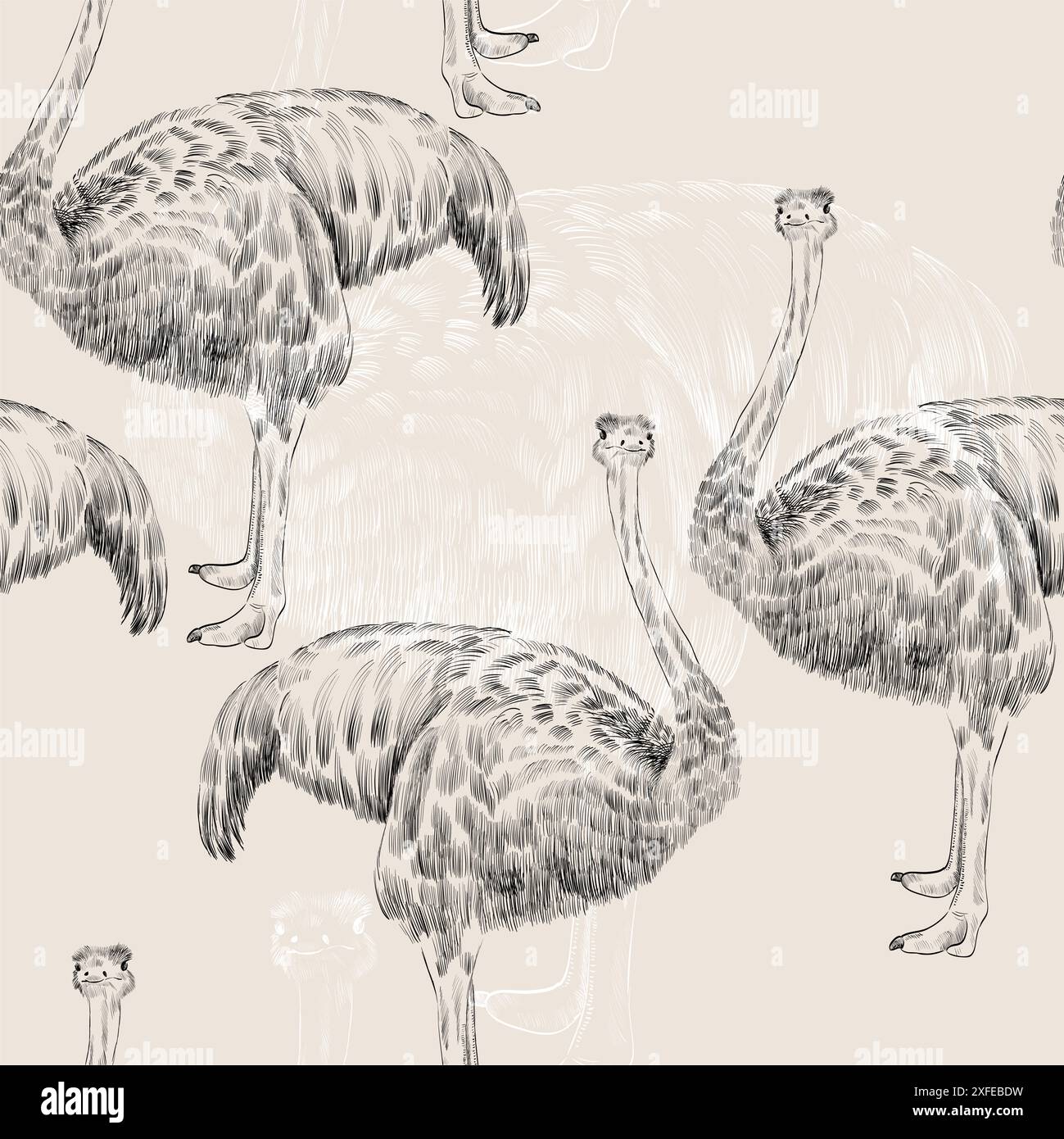 Vector sketch ostrich on the beige background. Seamless pattern Stock ...