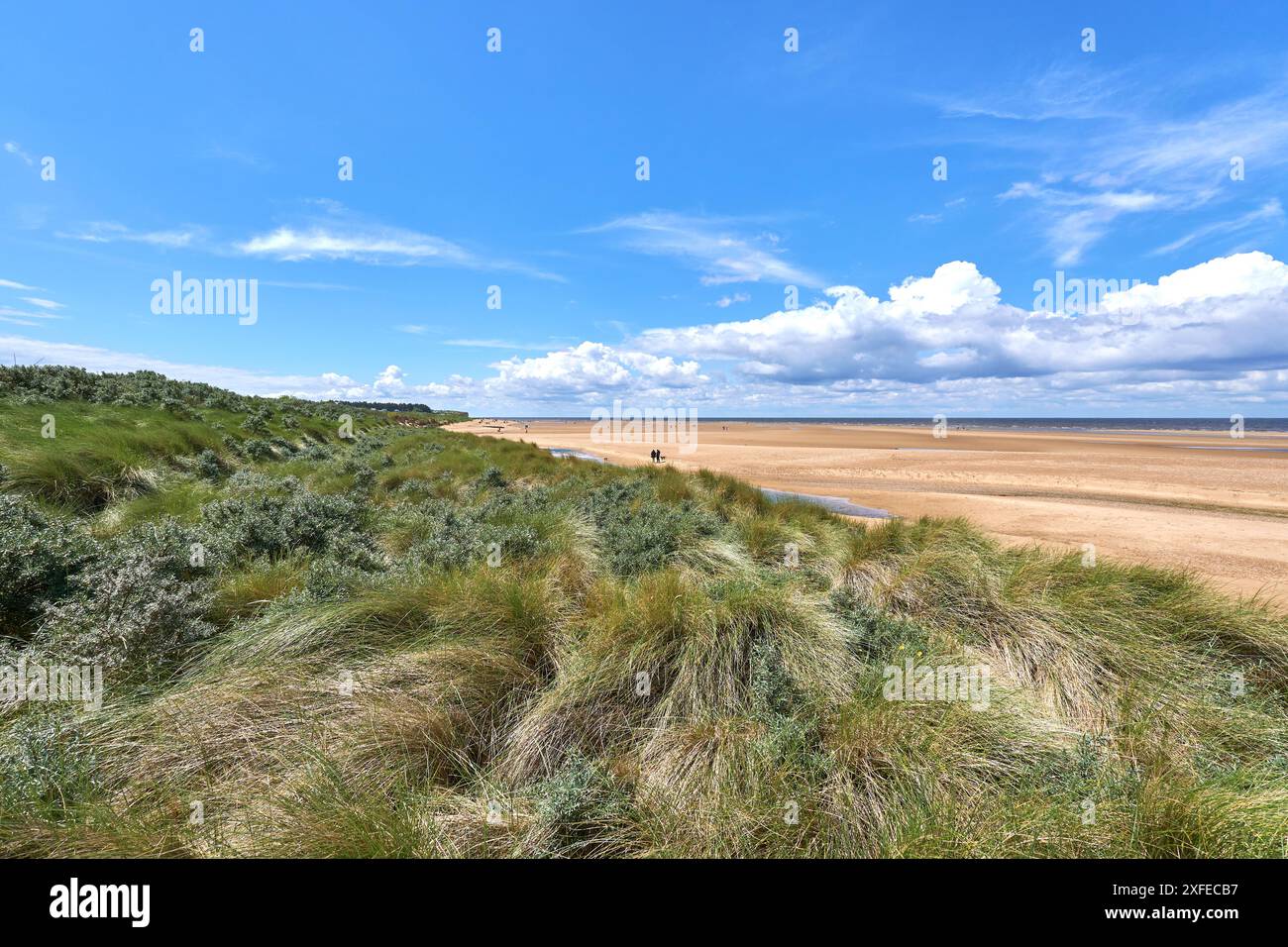 Beach dune with marram grass at Old Hunstanton, Norfolk, UK Stock Photo ...
