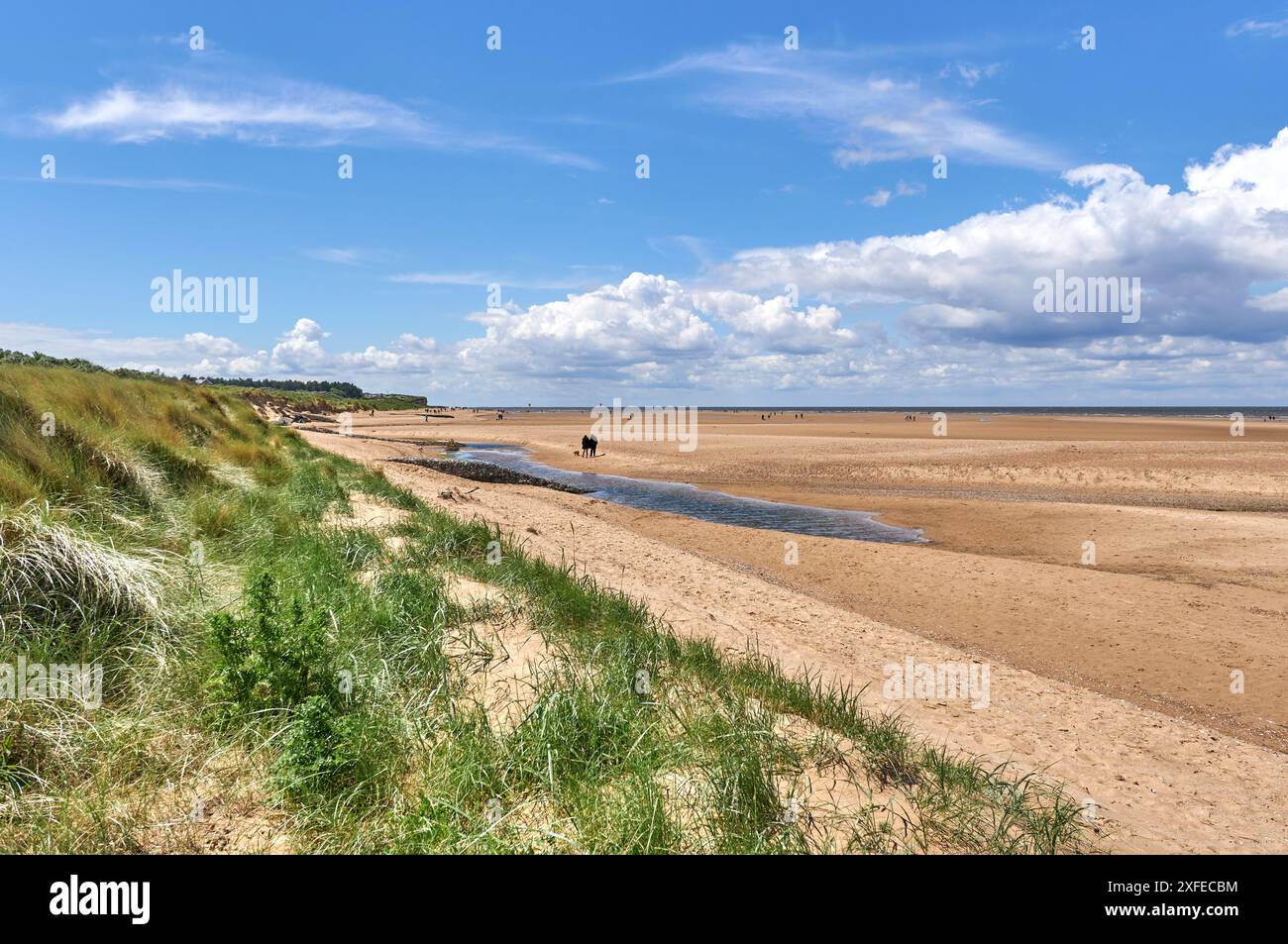 Beach dune with marram grass at Old Hunstanton, Norfolk, UK Stock Photo ...