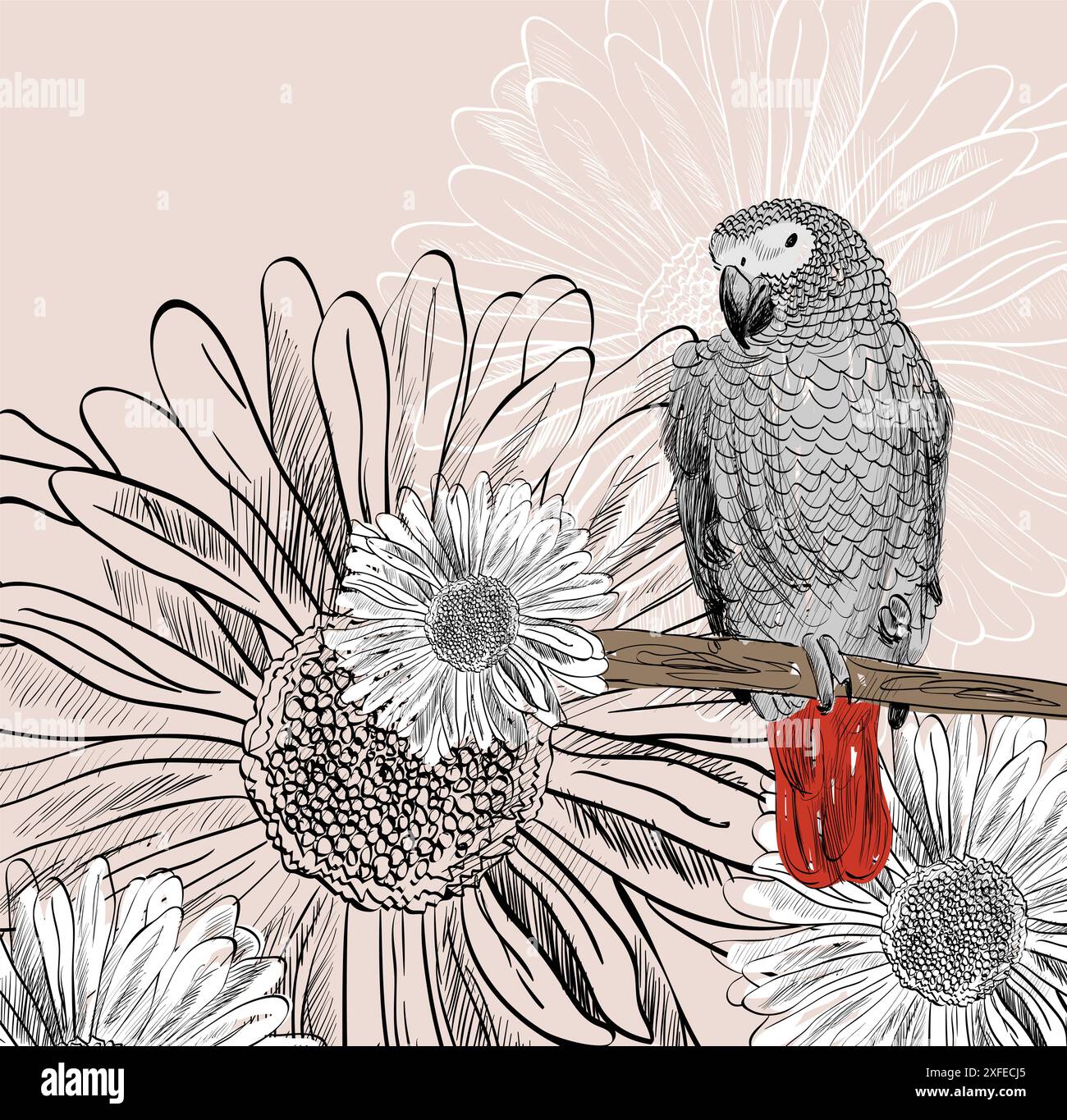 Vector sketch of a parrot with flowers. Hand drawn illustration Stock ...