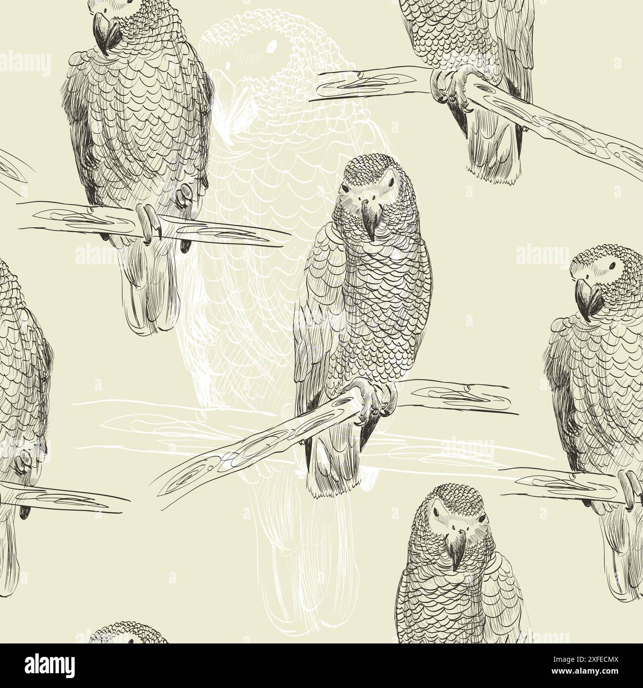 Vector sketch of a parrot. Hand drawn illustration Stock Vector Image ...