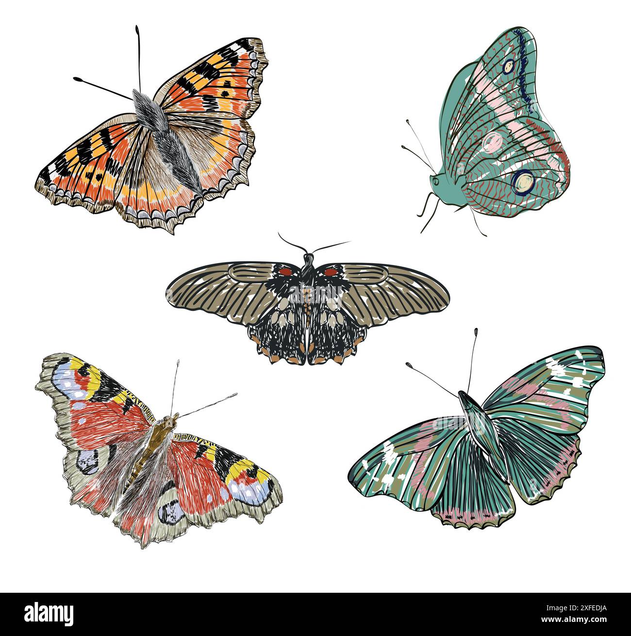 Five butterflies Stock Vector Images - Alamy