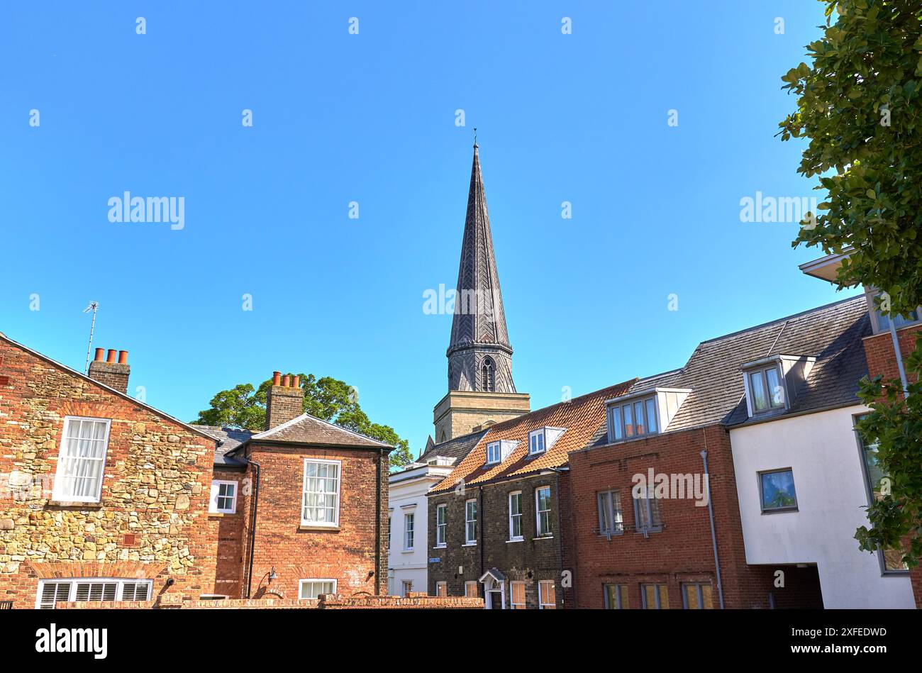 Narrow dirt foot path example Stock Photo - Alamy
