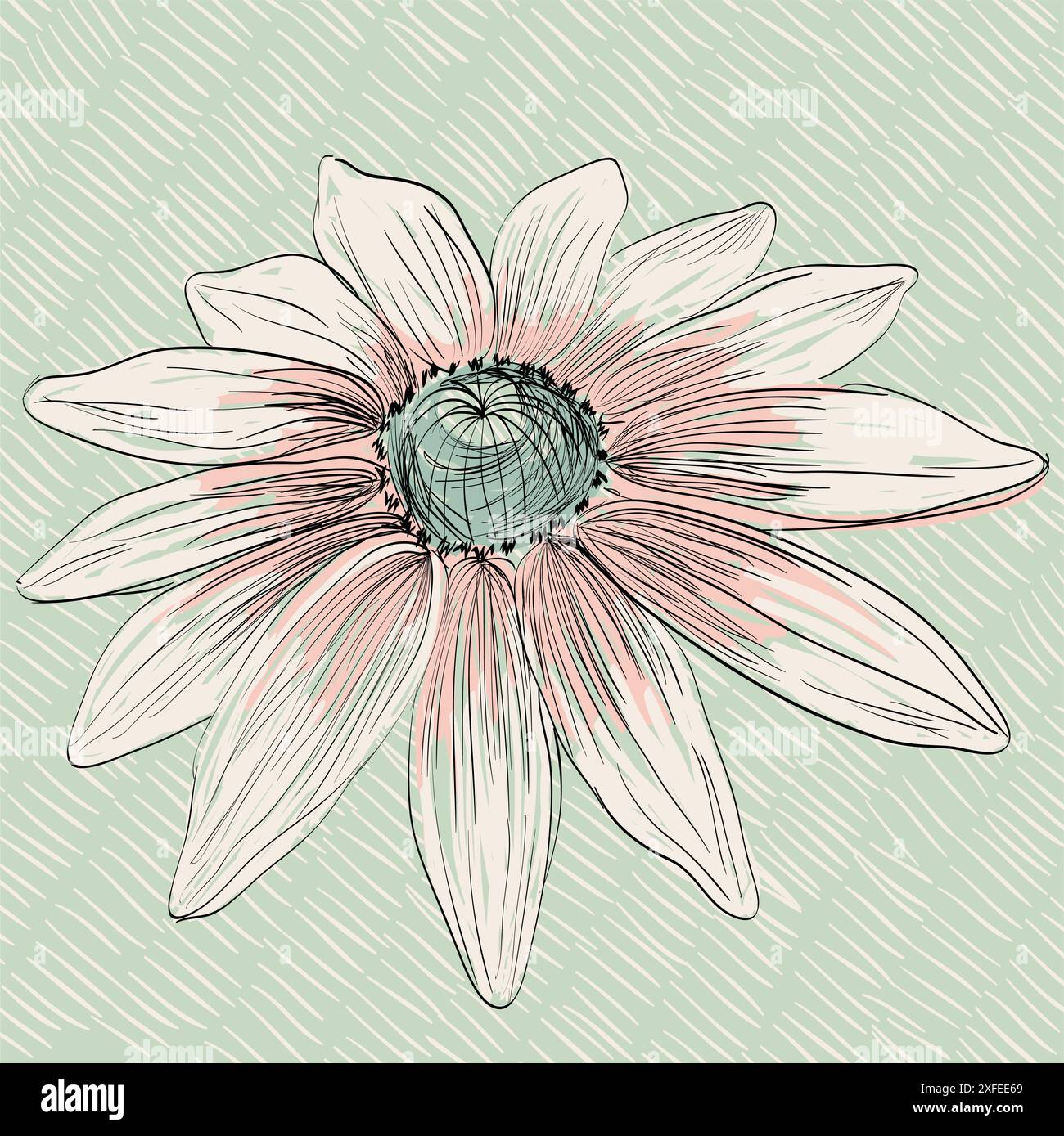 Vector Illustration of beautiful flower Stock Vector Image & Art - Alamy