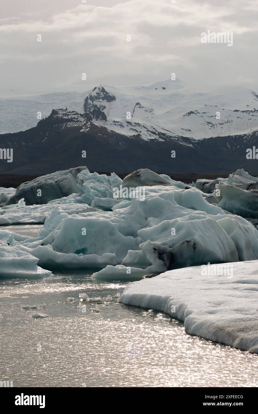 Iceland road trip in spring season with waterfalls, animals and ...