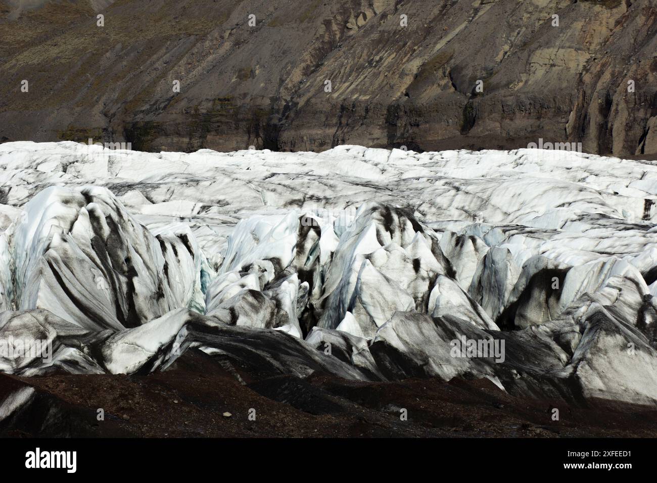 Iceland road trip in spring season with waterfalls, animals and ...