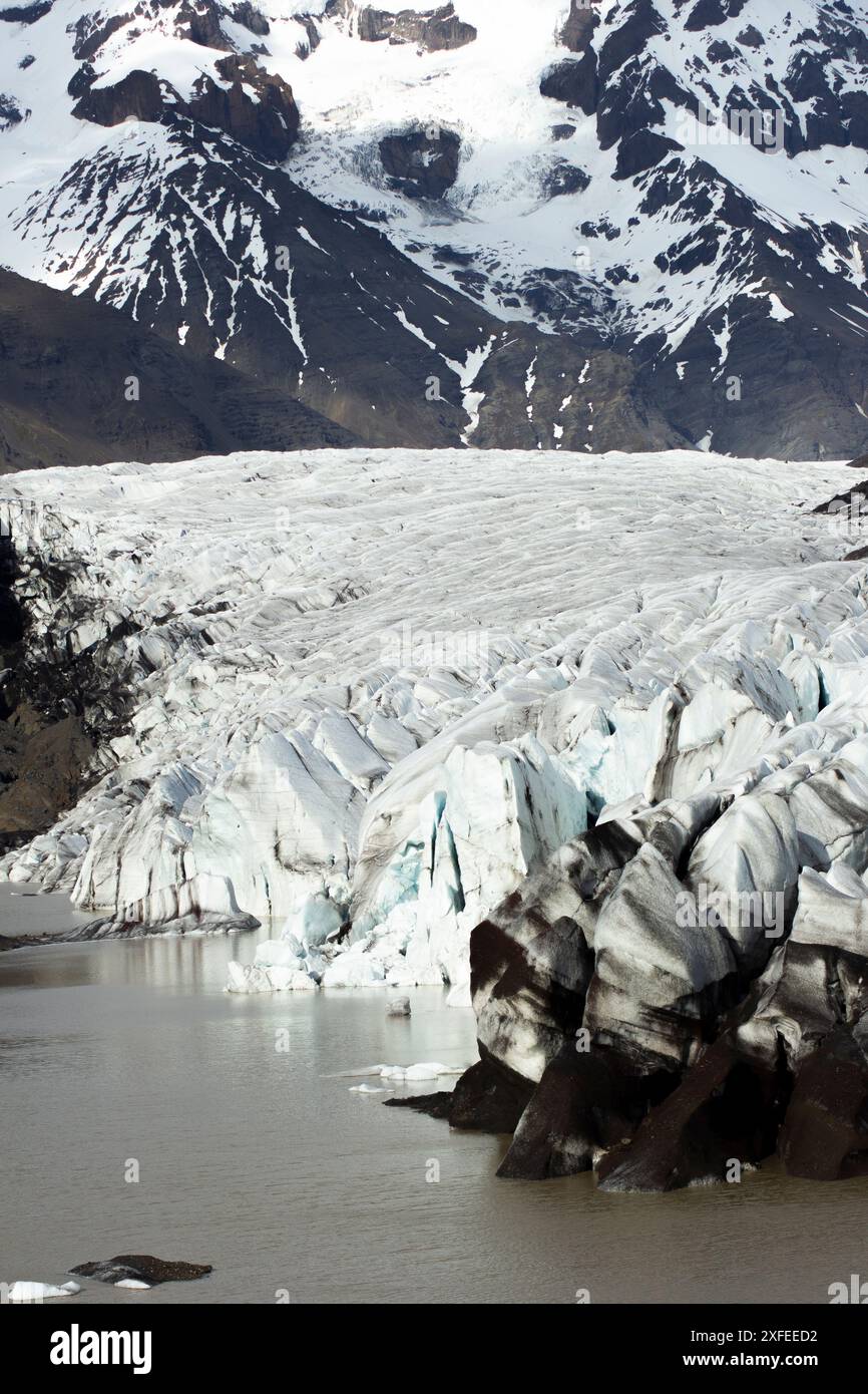 Iceland road trip in spring season with waterfalls, animals and ...