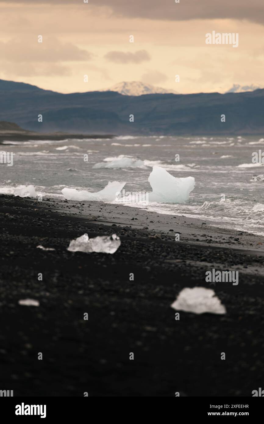 Iceland road trip in spring season with waterfalls, animals and ...