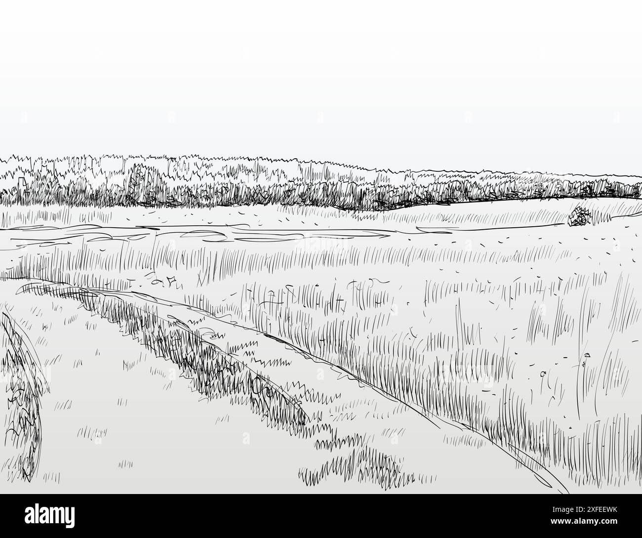 vector illustration summer landscape with country road Stock Vector ...