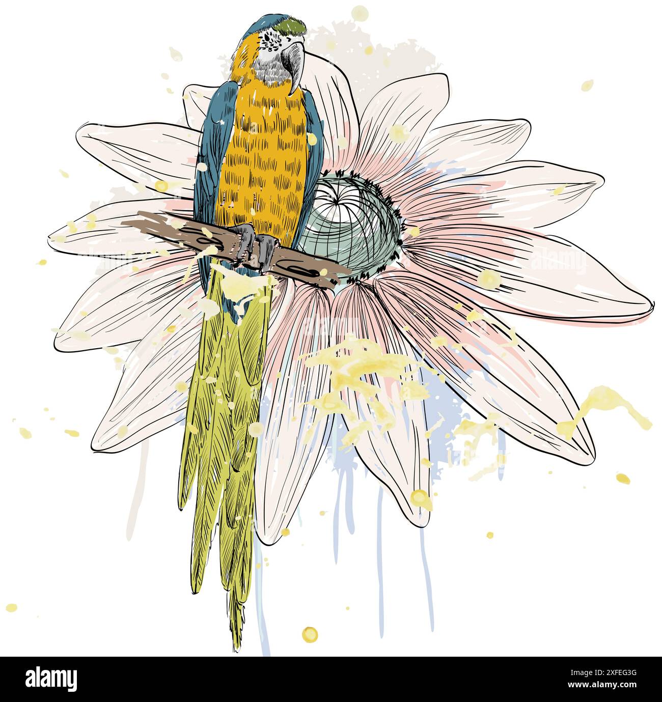 Vector sketch of a parrot with flower. Hand drawn illustration Stock ...