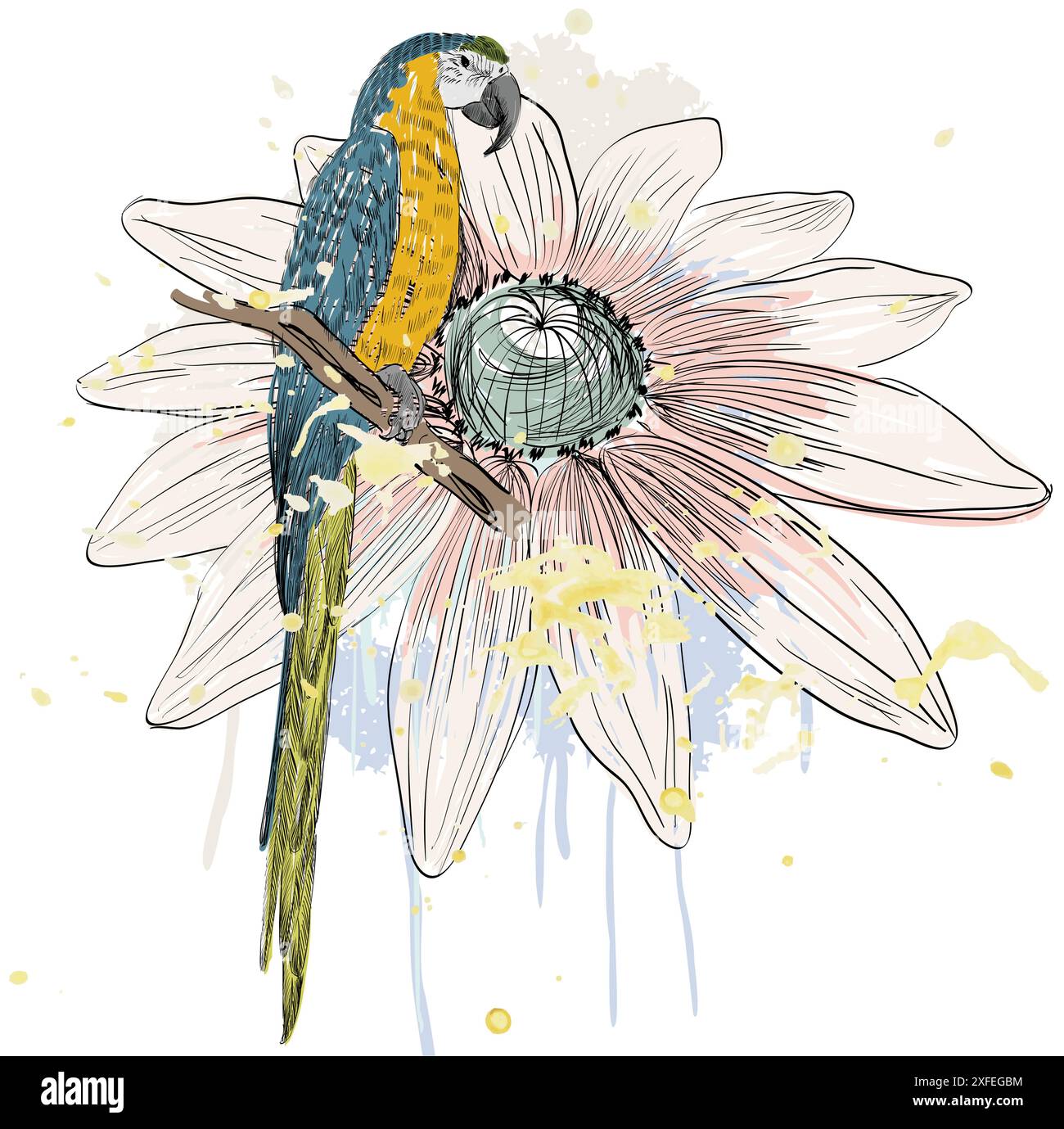 Vector sketch of a parrot with flower. Hand drawn illustration Stock ...