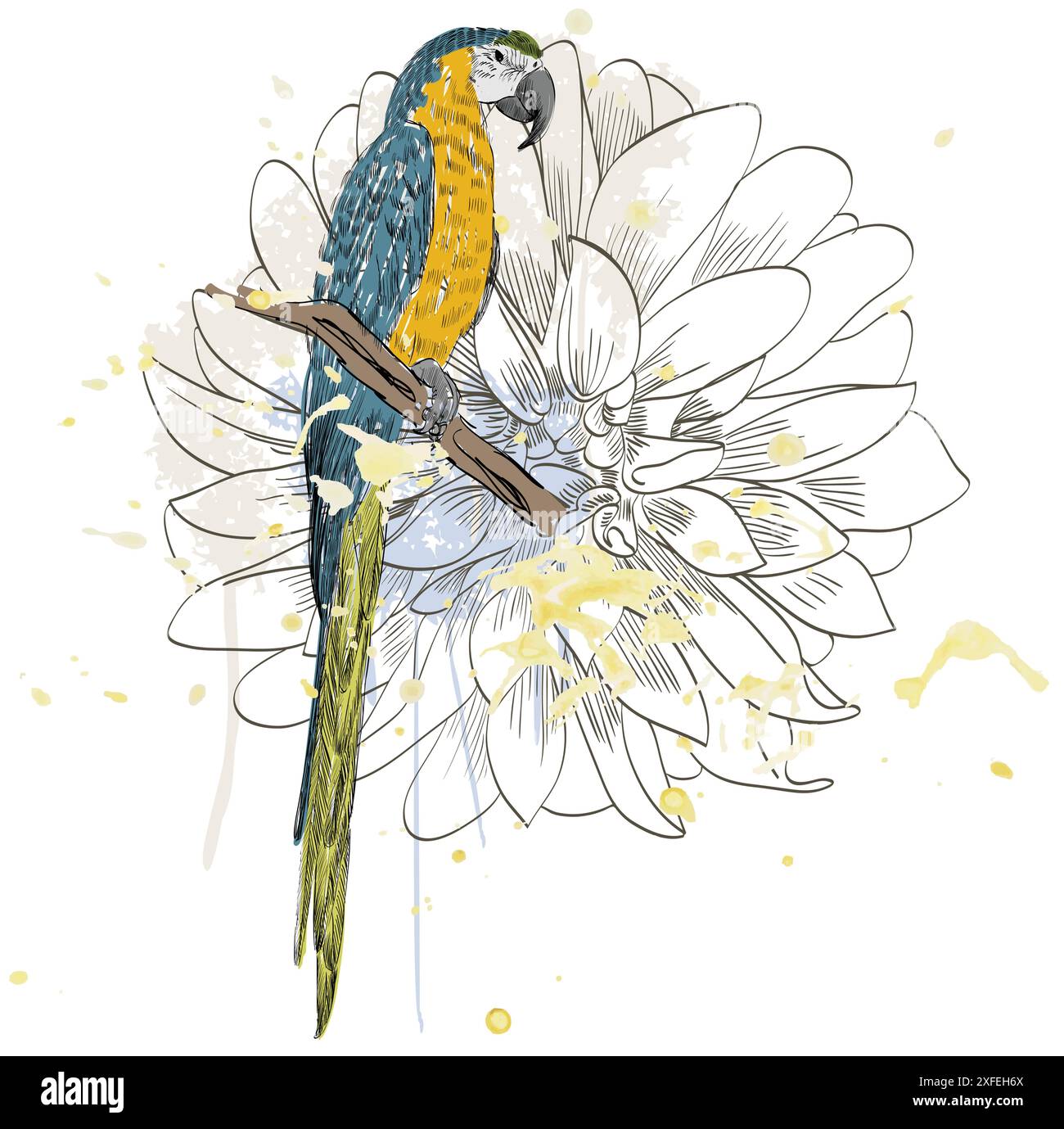 Vector sketch of a parrot with flower. Hand drawn illustration Stock ...