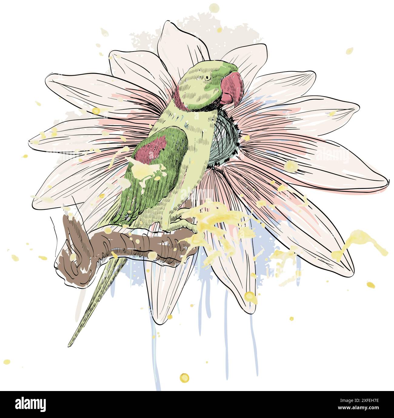 Vector sketch of a parrot with flower. Hand drawn illustration Stock ...
