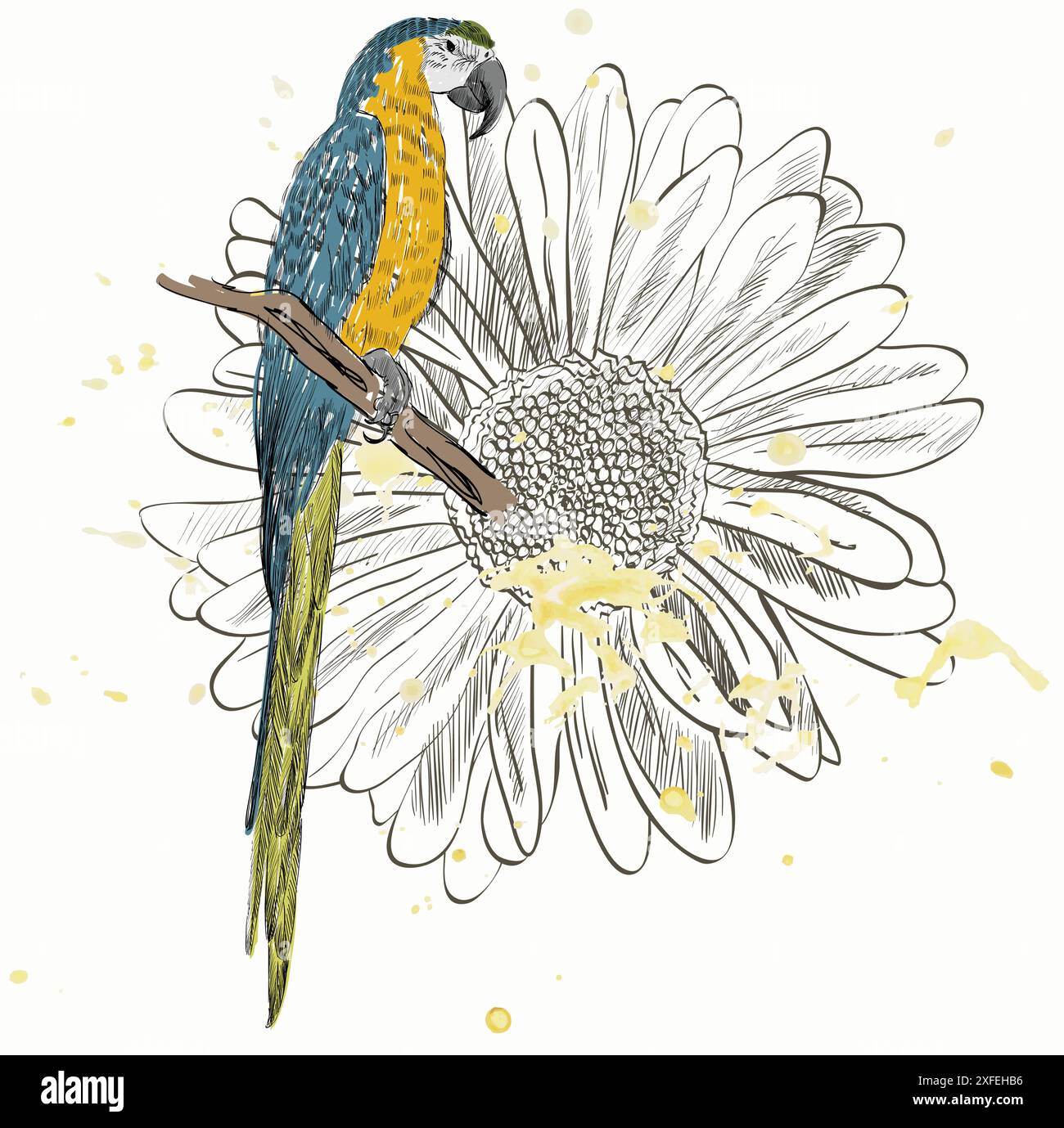 Vector sketch of a parrot with flower. Hand drawn illustration Stock ...