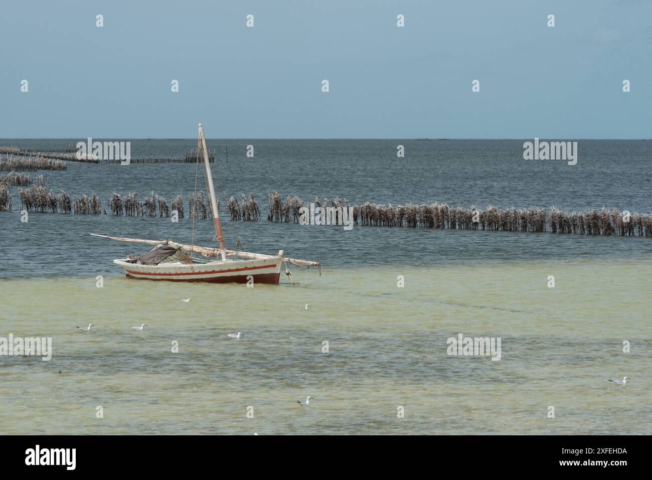 Traditional local fishing boat moored in the Kerkennah Archipeligo in ...