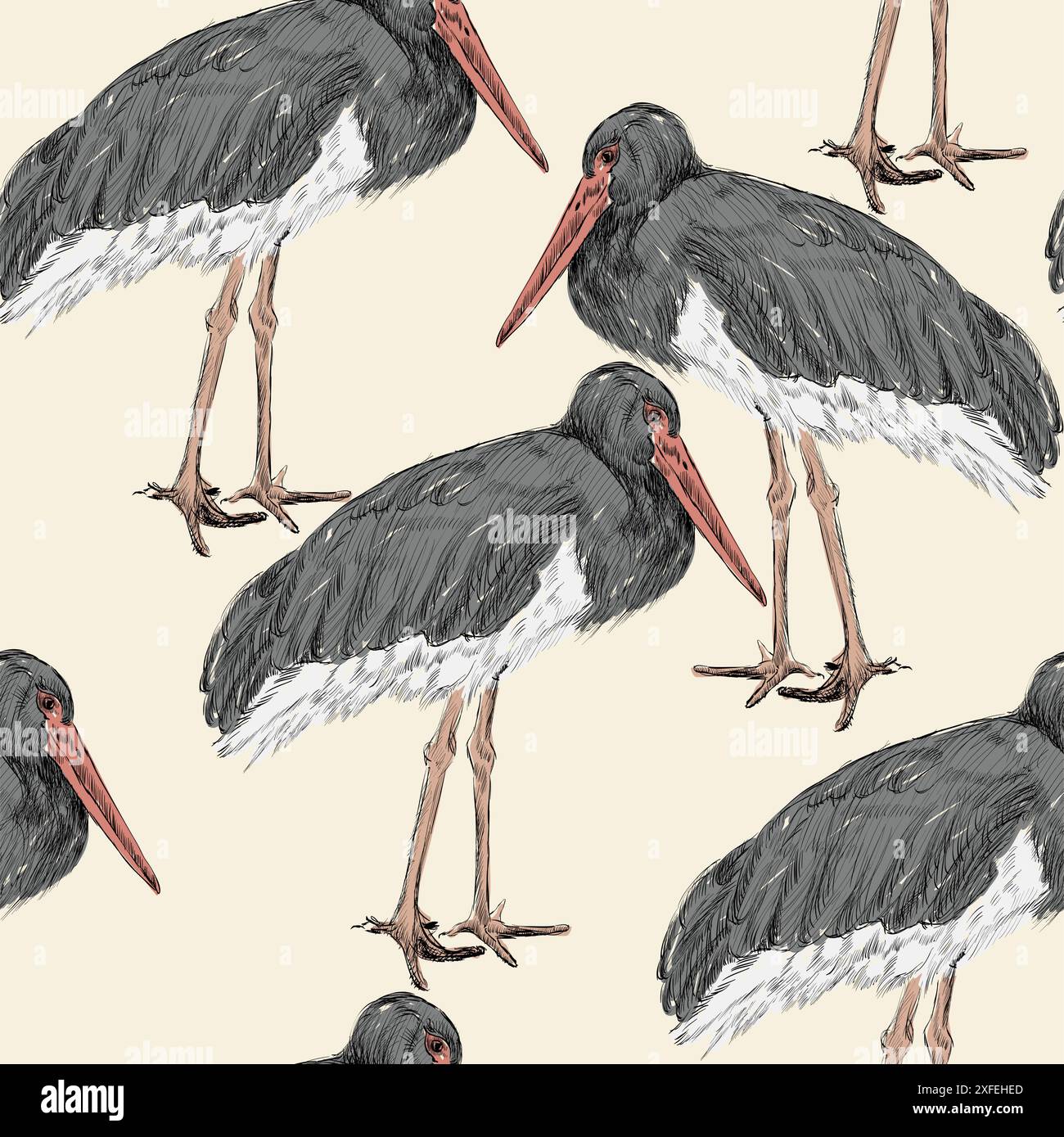 herons sketch on a beige background. Seamless pattern Stock Vector ...