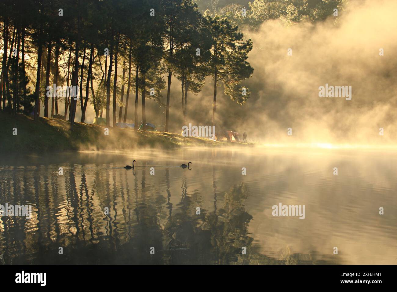 The integrity of the forest and nature of Huai Pang tong Reservoir at ...
