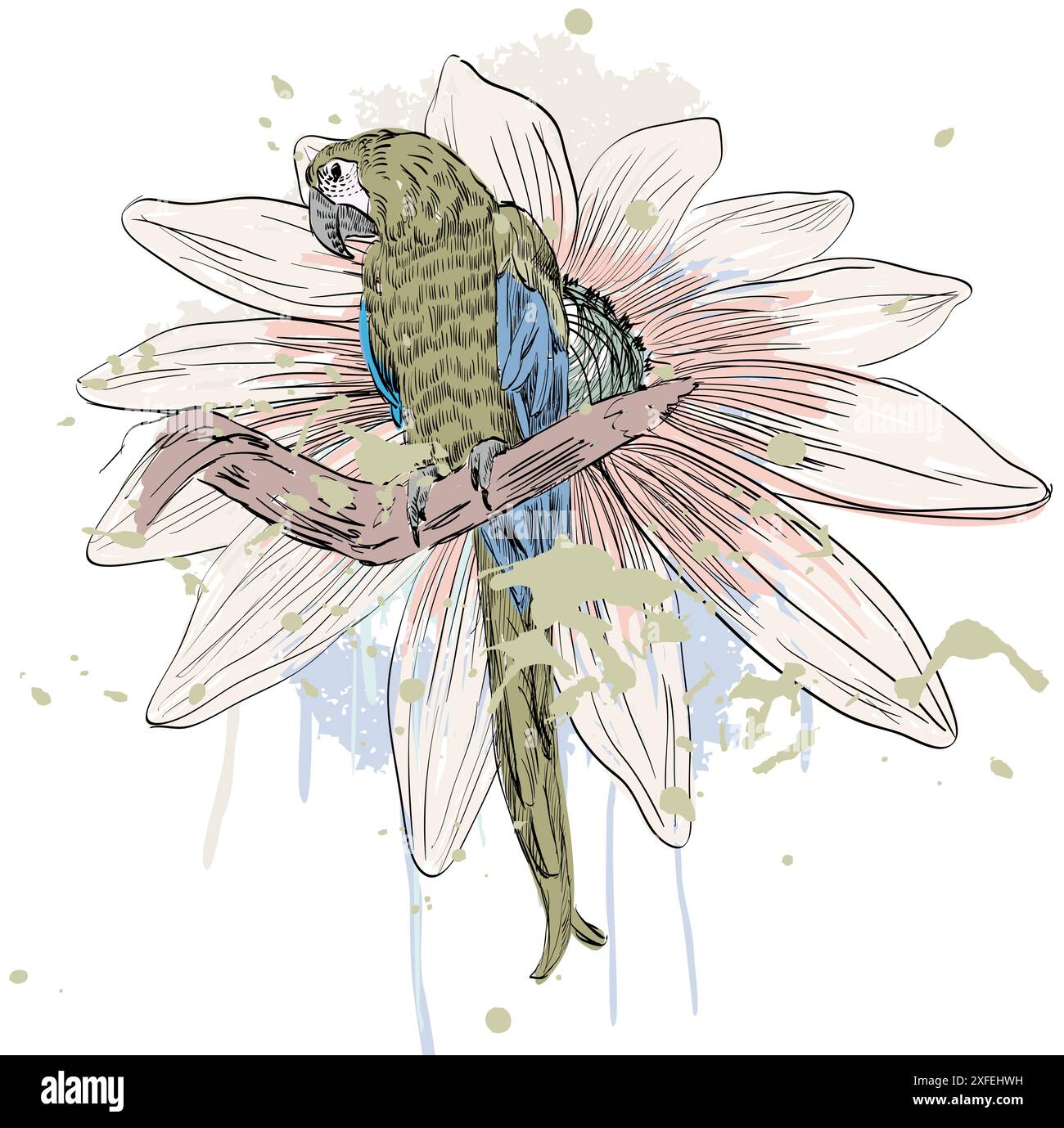 Vector sketch of a parrot with flowers. Hand drawn illustration Stock ...