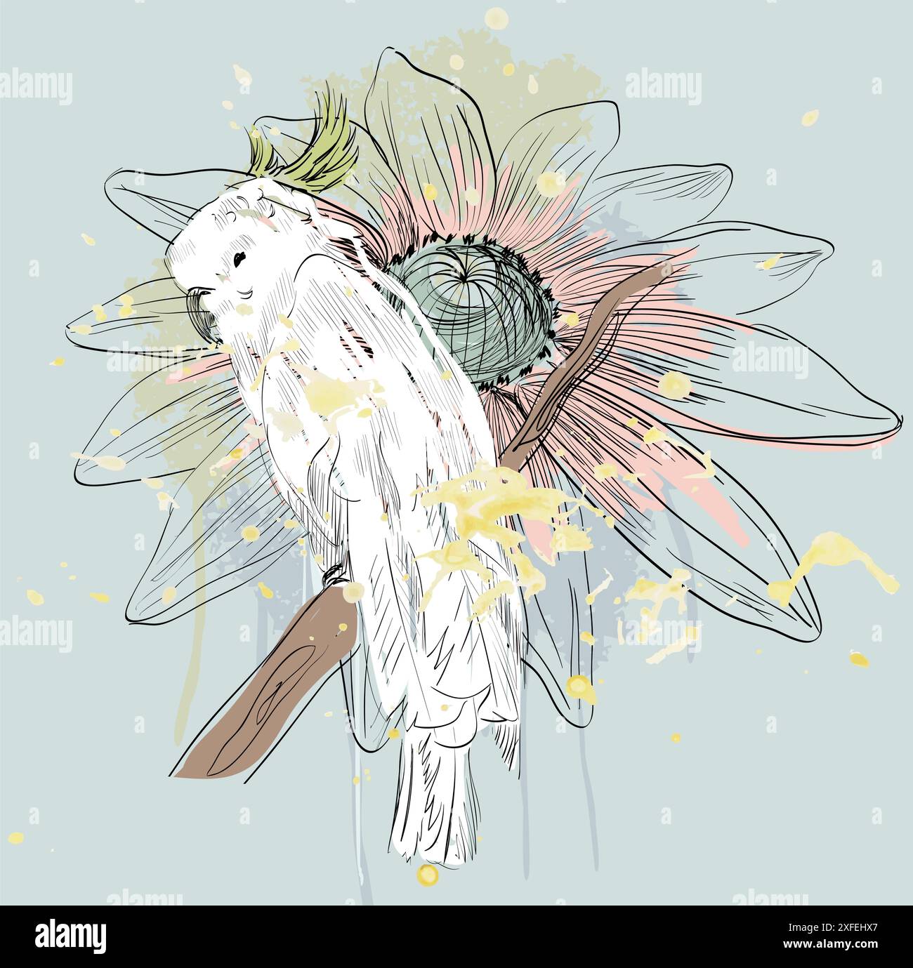 Vector sketch of a parrot with flower. Hand drawn illustration Stock ...
