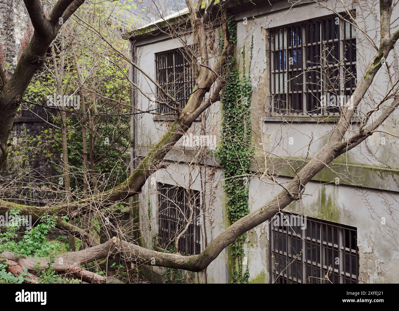 Abandoned building in overgrown hi-res stock photography and images - Alamy