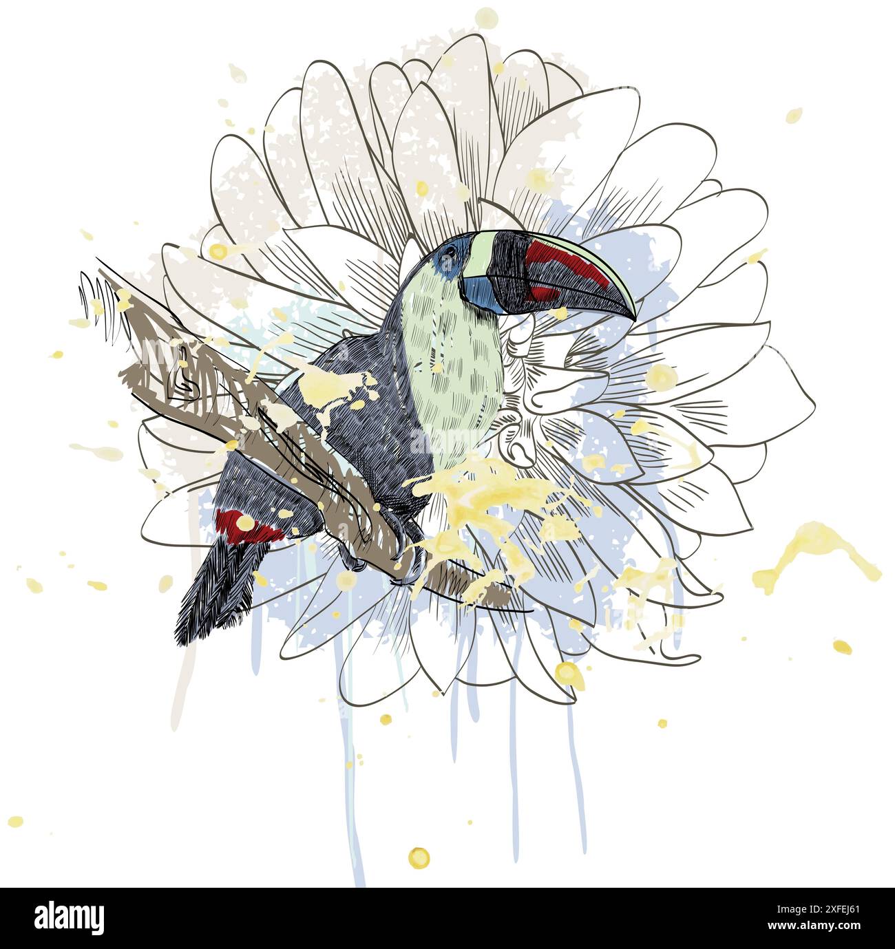 Vector sketch of a parrot with flower. Hand drawn illustration Stock ...