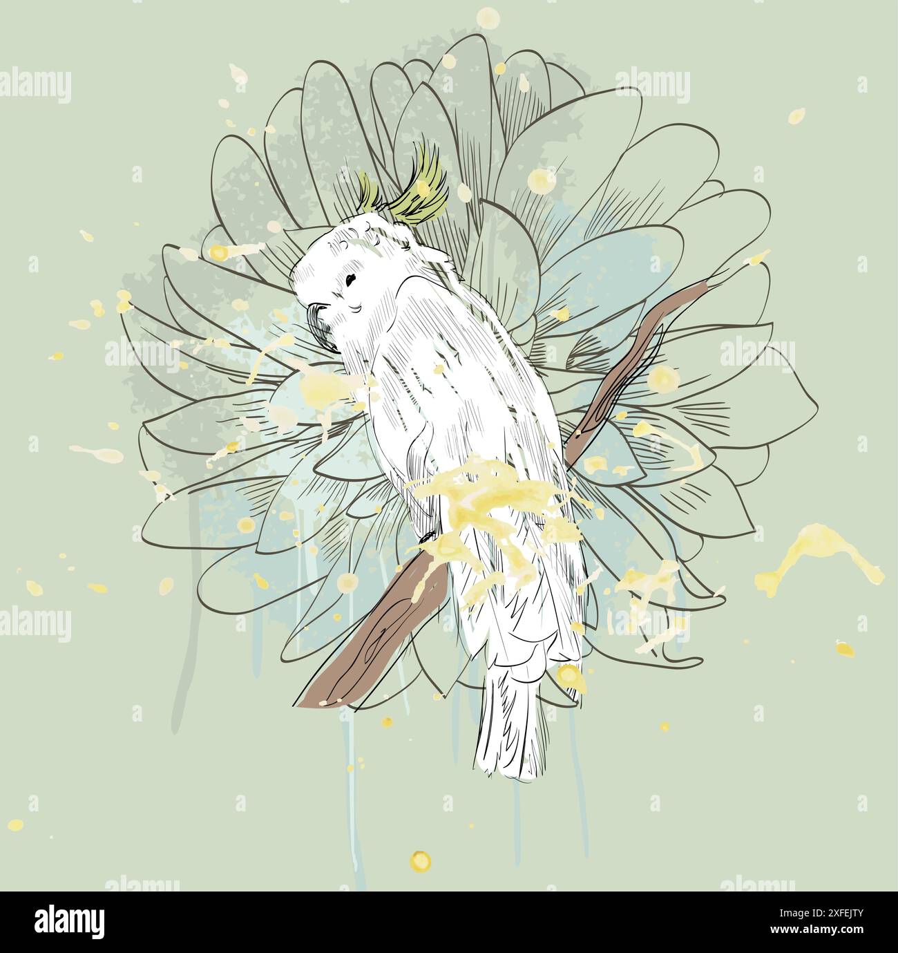 Vector sketch of a parrot with flower. Hand drawn illustration Stock ...