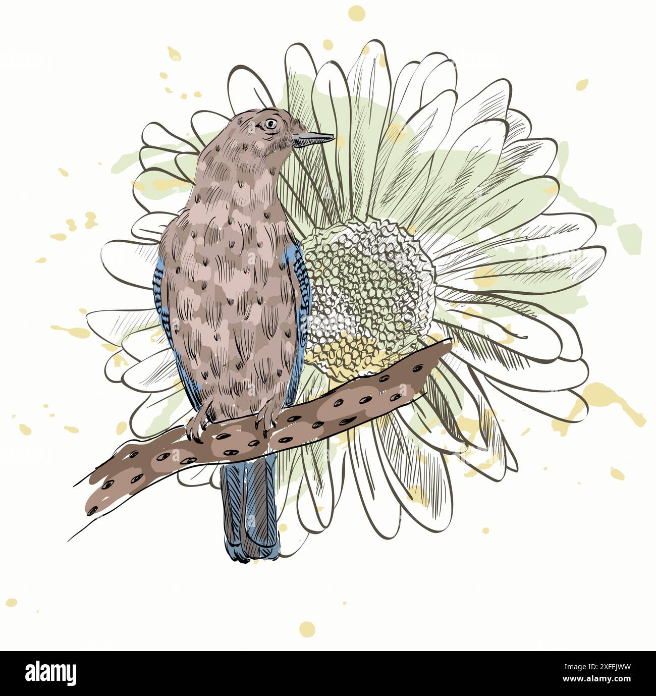 Vector sketch of a bird with flower. Hand drawn illustration Stock ...