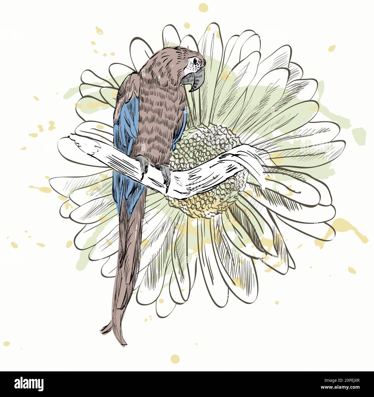 Vector sketch of a parrot with flowers. Hand drawn illustration Stock ...