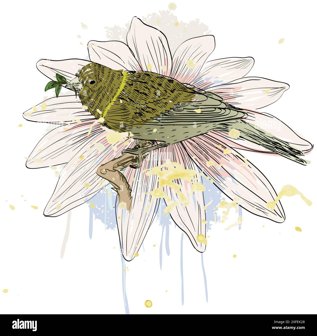 Vector sketch of a bird with flower. Hand drawn illustration Stock ...