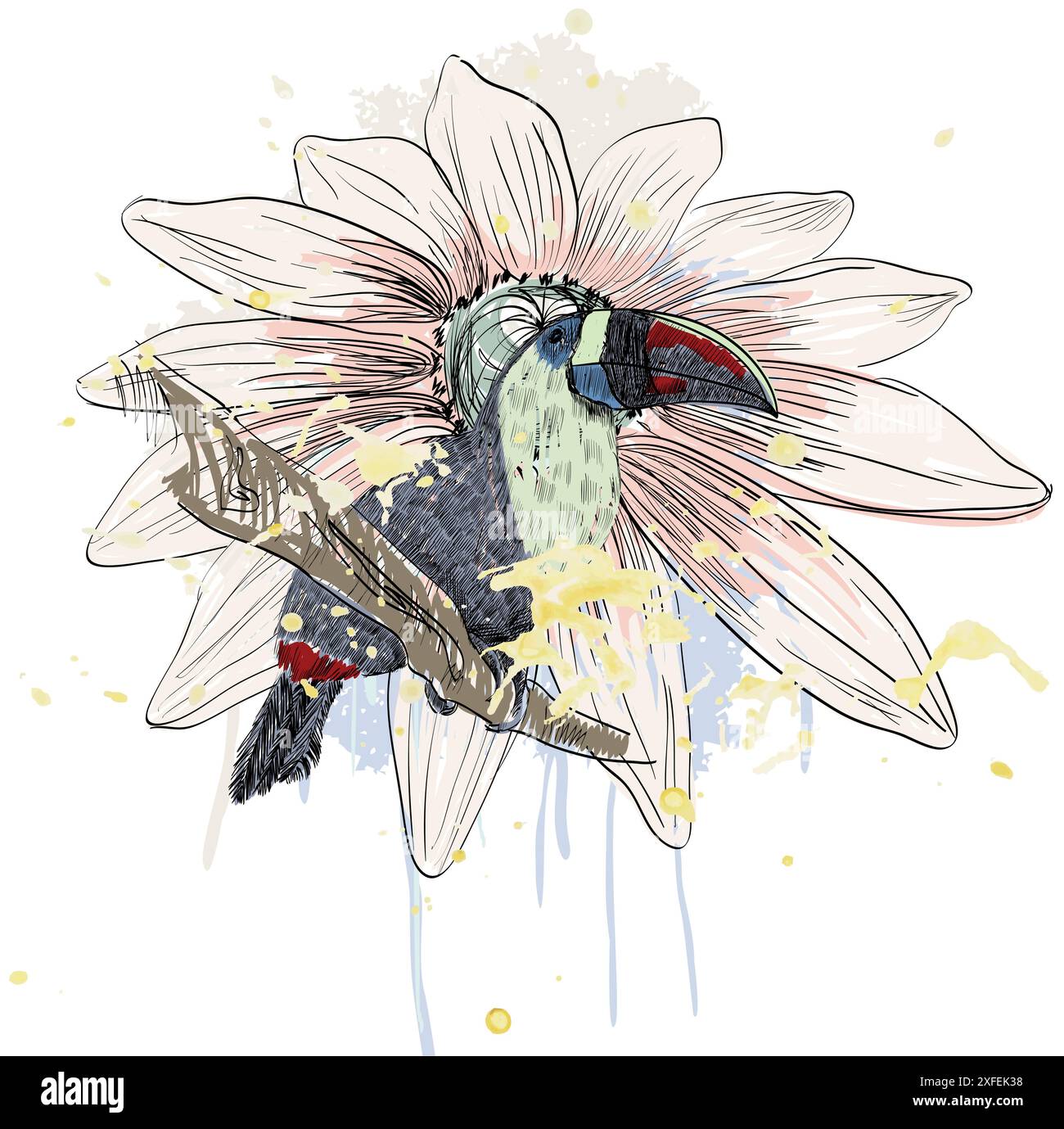 Vector sketch of a parrot with flower. Hand drawn illustration Stock ...