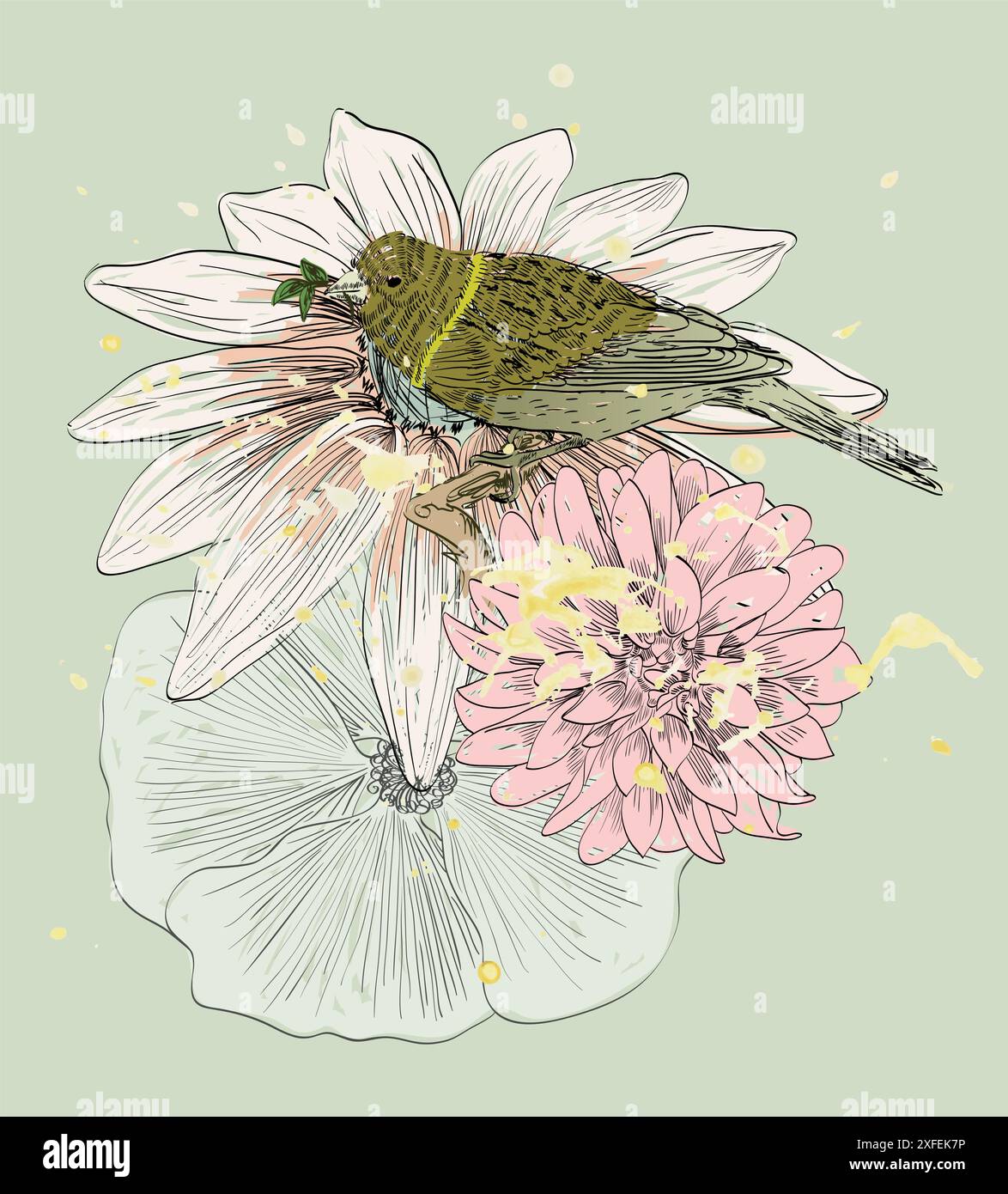 Vector sketch of a bird with flower. Hand drawn illustration Stock ...