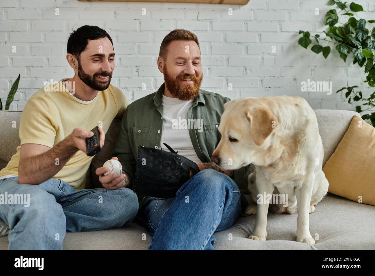 Bearded gay couple and labrador dog watch sport match on a couch in a ...