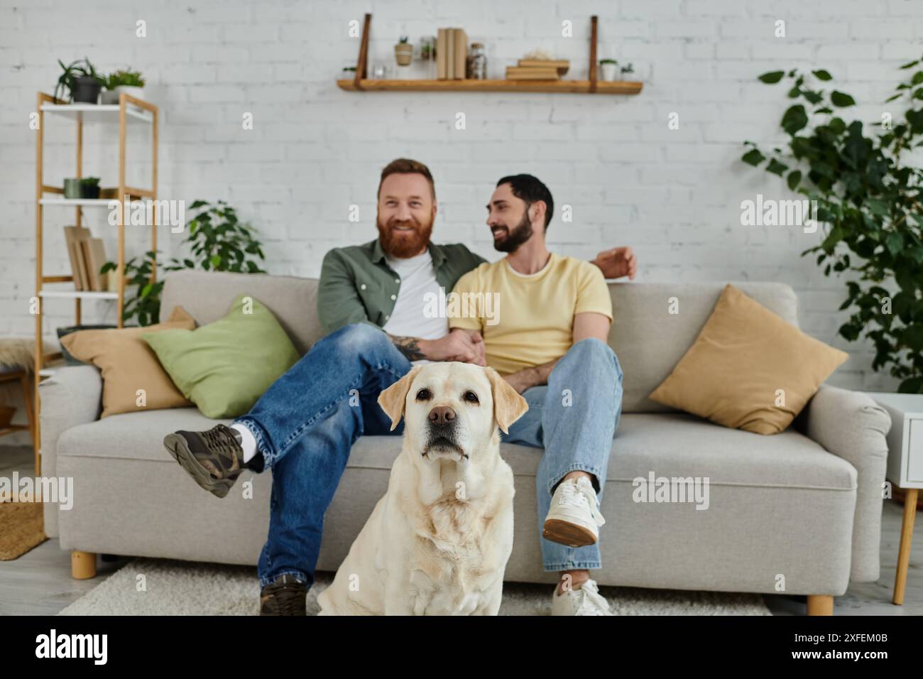 Two men with beards relax on a couch with their Labrador in a cozy ...