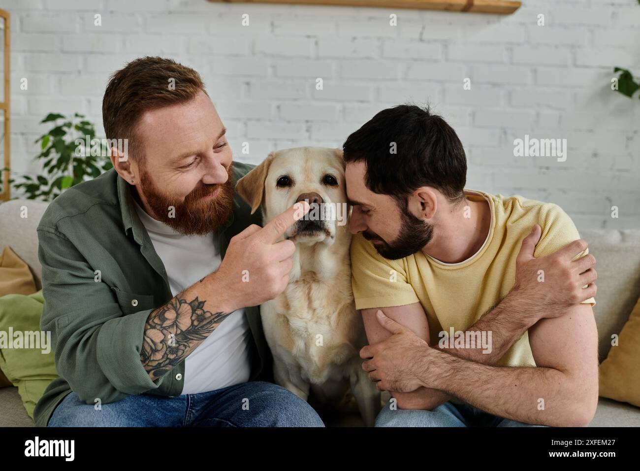 A bearded man relaxes on a couch next to his Labrador in a cozy living ...